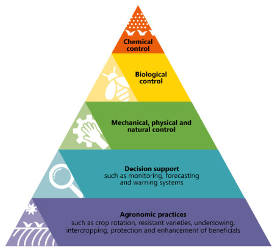 Projekt SmartProtect - PIKK.ee