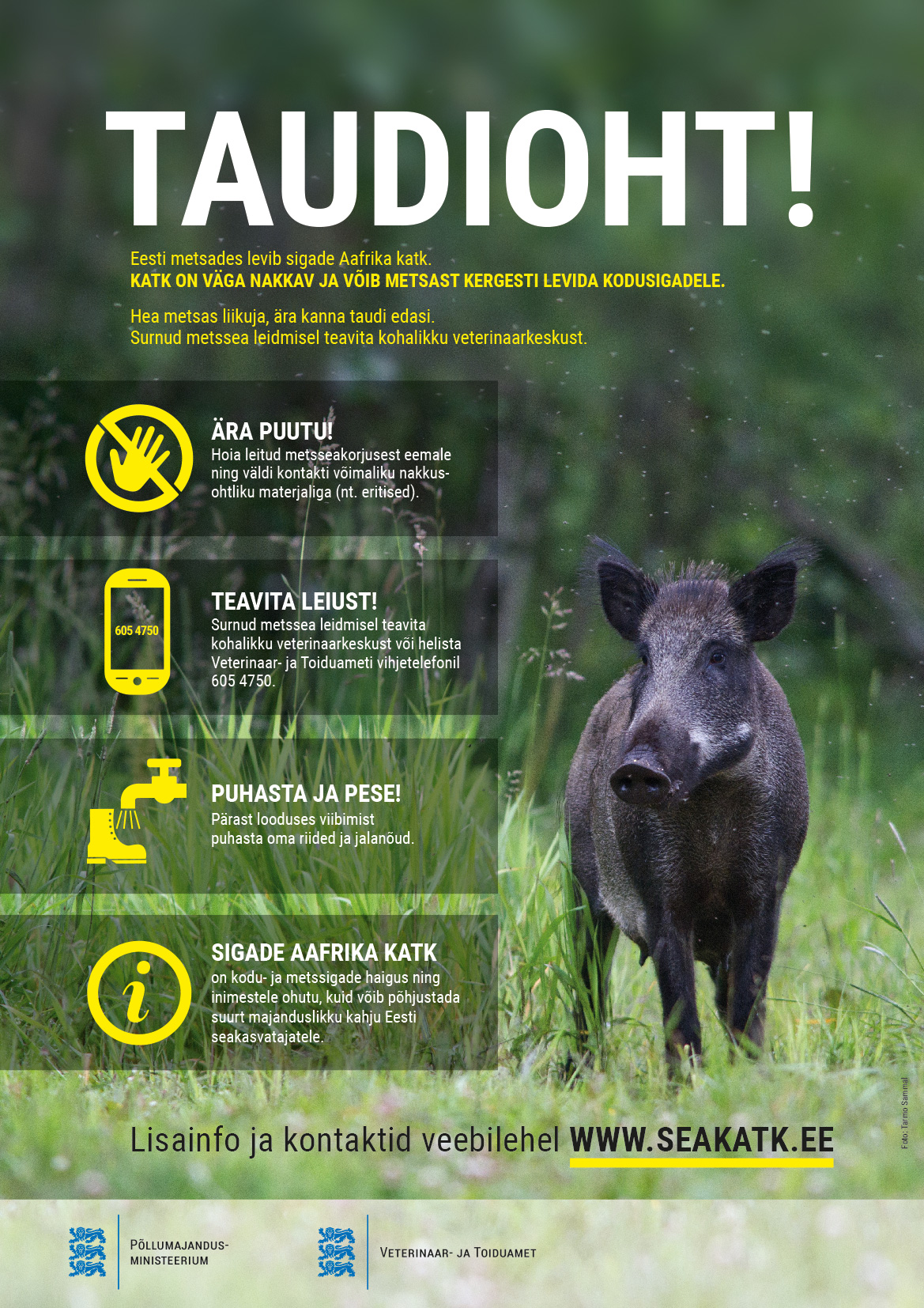 sigade Aafrika katk kimbutab taas - ohus on ka kodusead