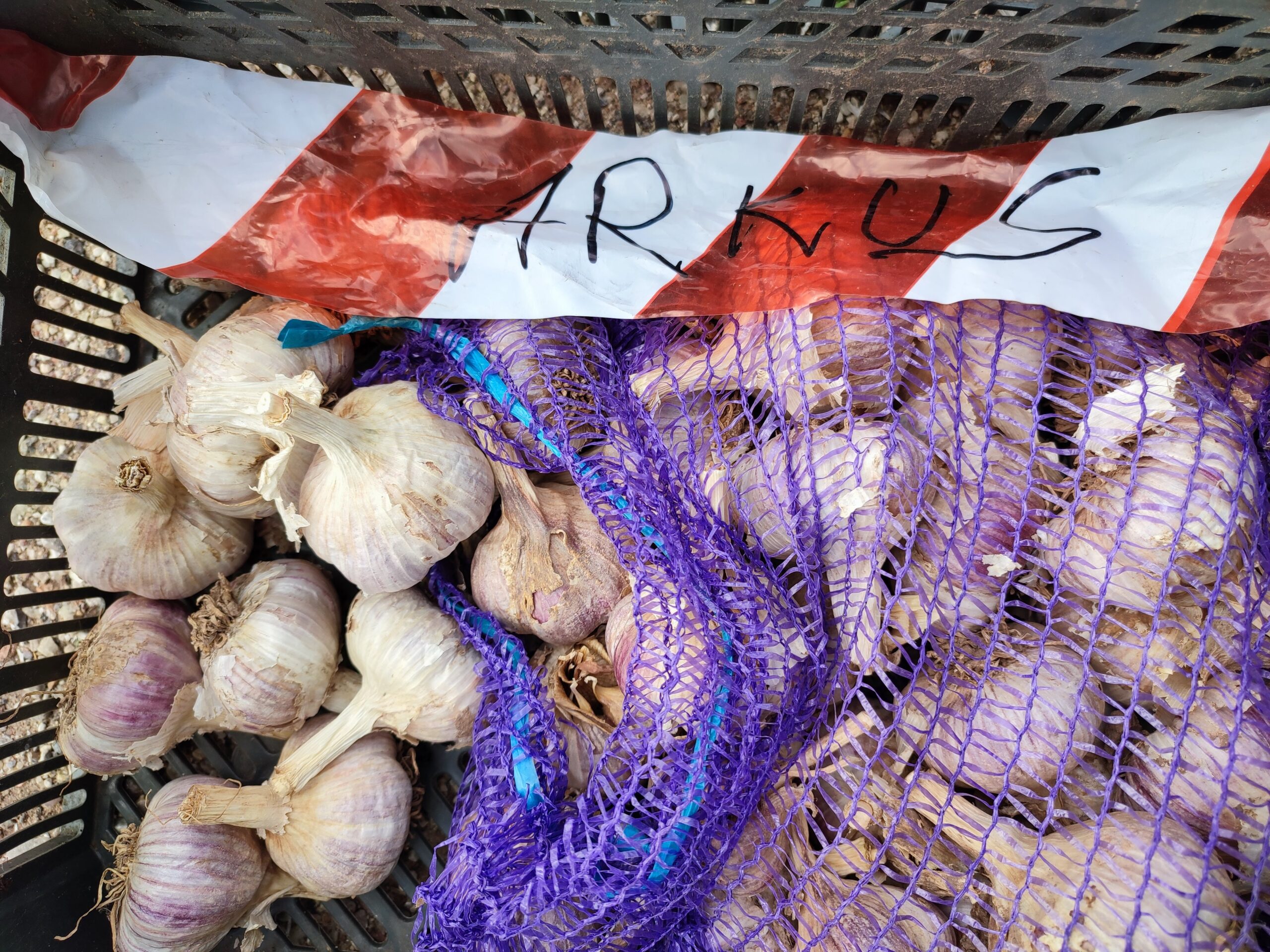 Sibulad ja küüslaugud - mida ja kuidas?