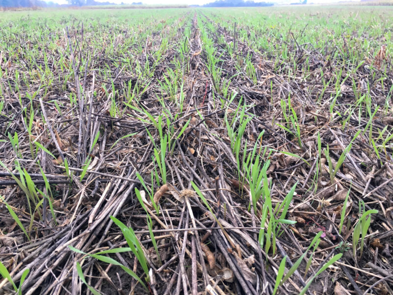 Praktilised mulla tervise materjalid - METK nõuandeteenistus